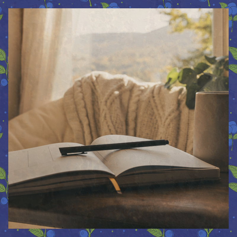 Notebooks – Roosterberry